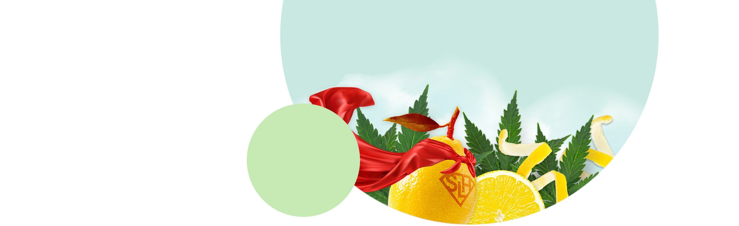 Super Lemon Haze CBD - JOI Botanicals