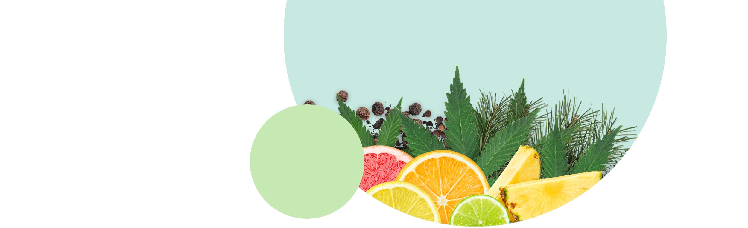 Zweet Inzanity - JOI Botanicals